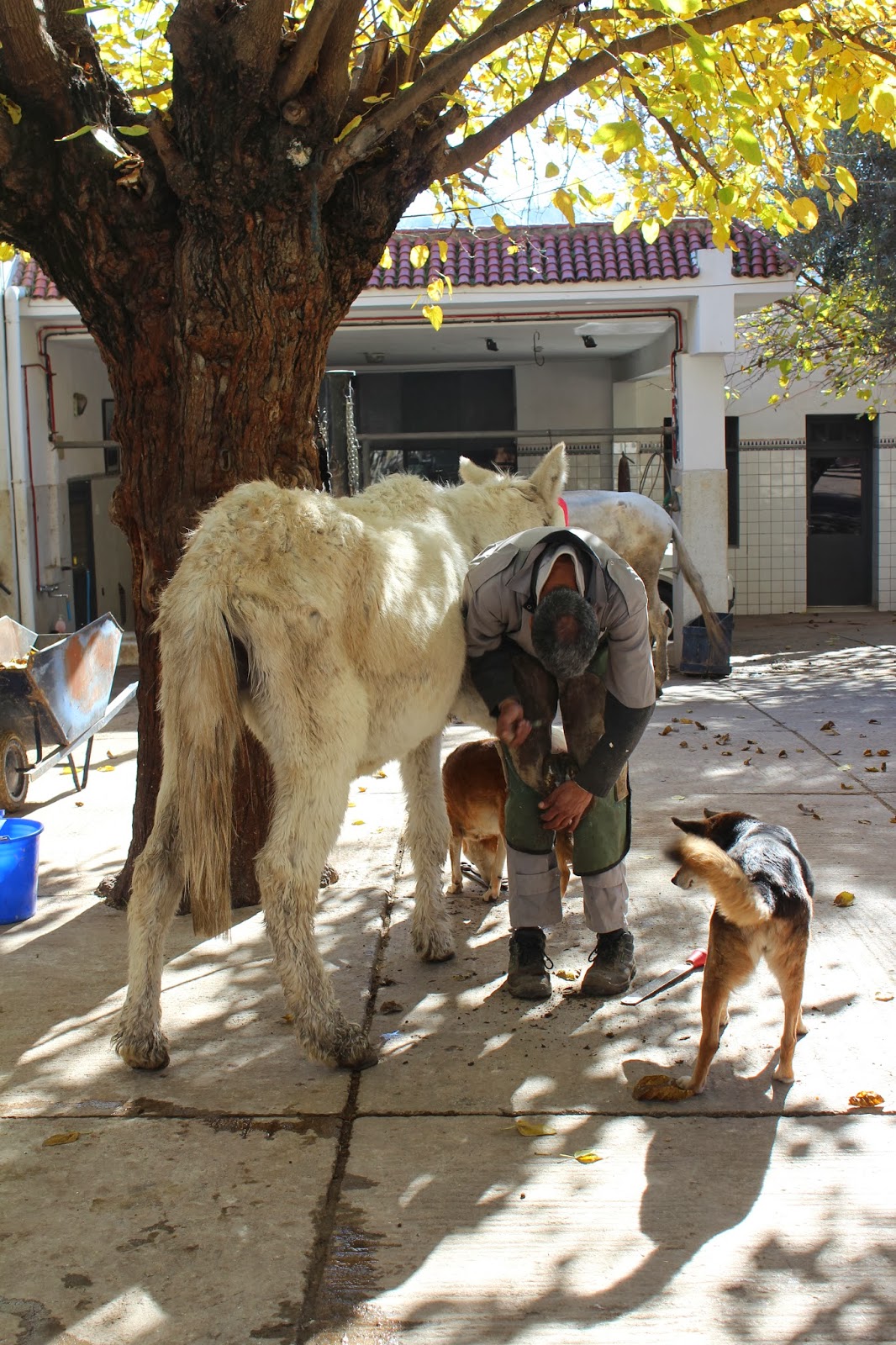 The Ninth Year...: Morocco: The American Fondouk