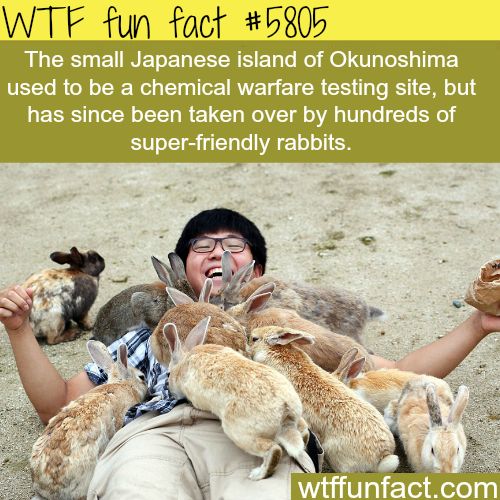 40 Amazing WTF Fun Random Facts | Amazing WTF Facts