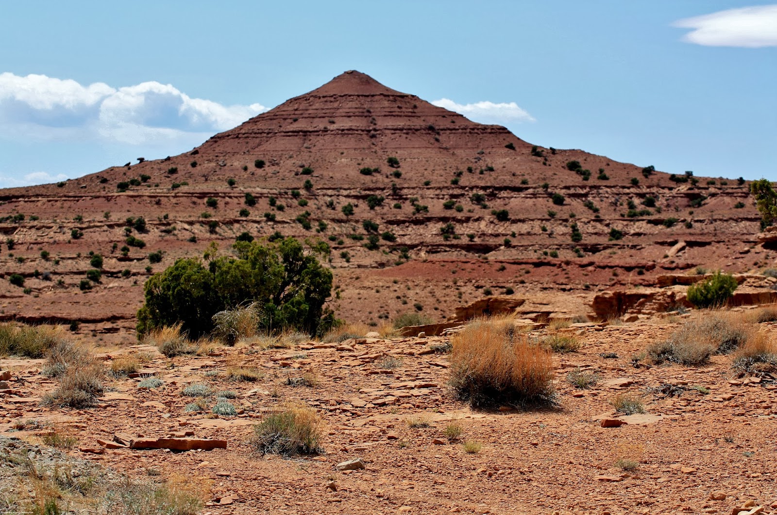 The Southwest Through Wide Brown Eyes: Oh Swell, the San Rafael Reef.