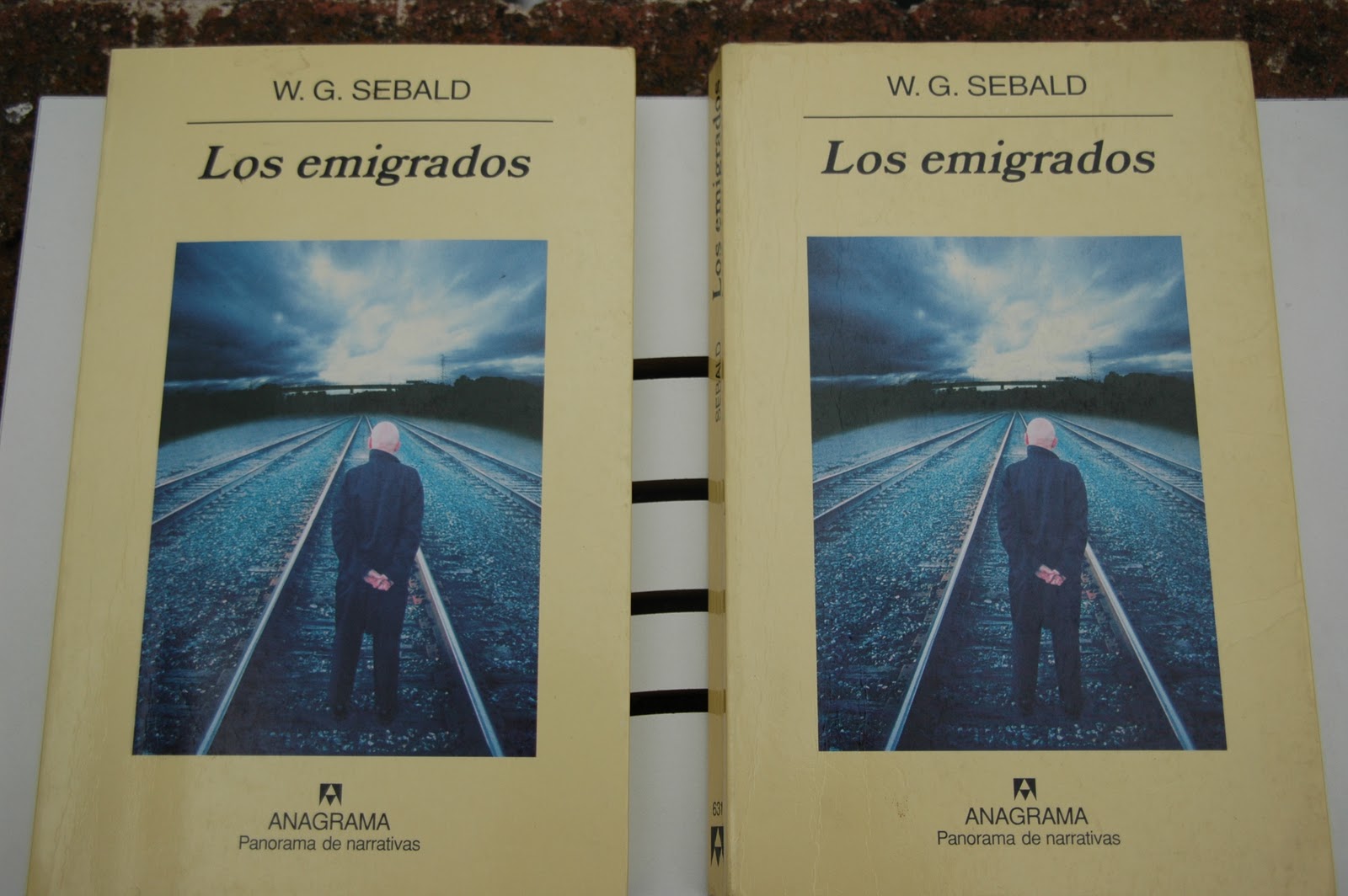 Idiomas olvidados: HOMENAJE A W.G. SEBALD