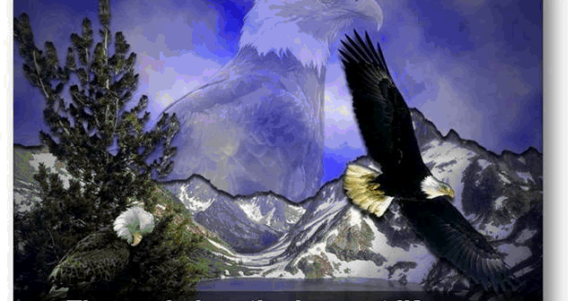 3rd Dog Script: The Eagle's Famous Flight of Rebirth