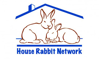 Rabbit Slippers: Bunny Burrow Boutique Supports House Rabbit Network