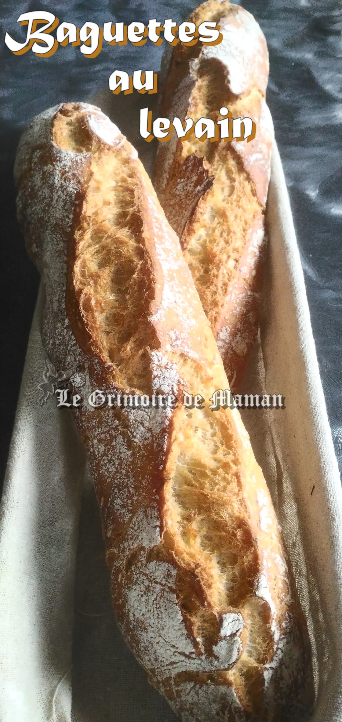 Le Levain Naturel - Levain Pâteux