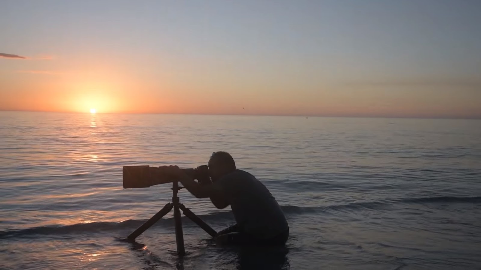 10 Easy Tips For Photographing Birds At The Beach - Photography Blog ...