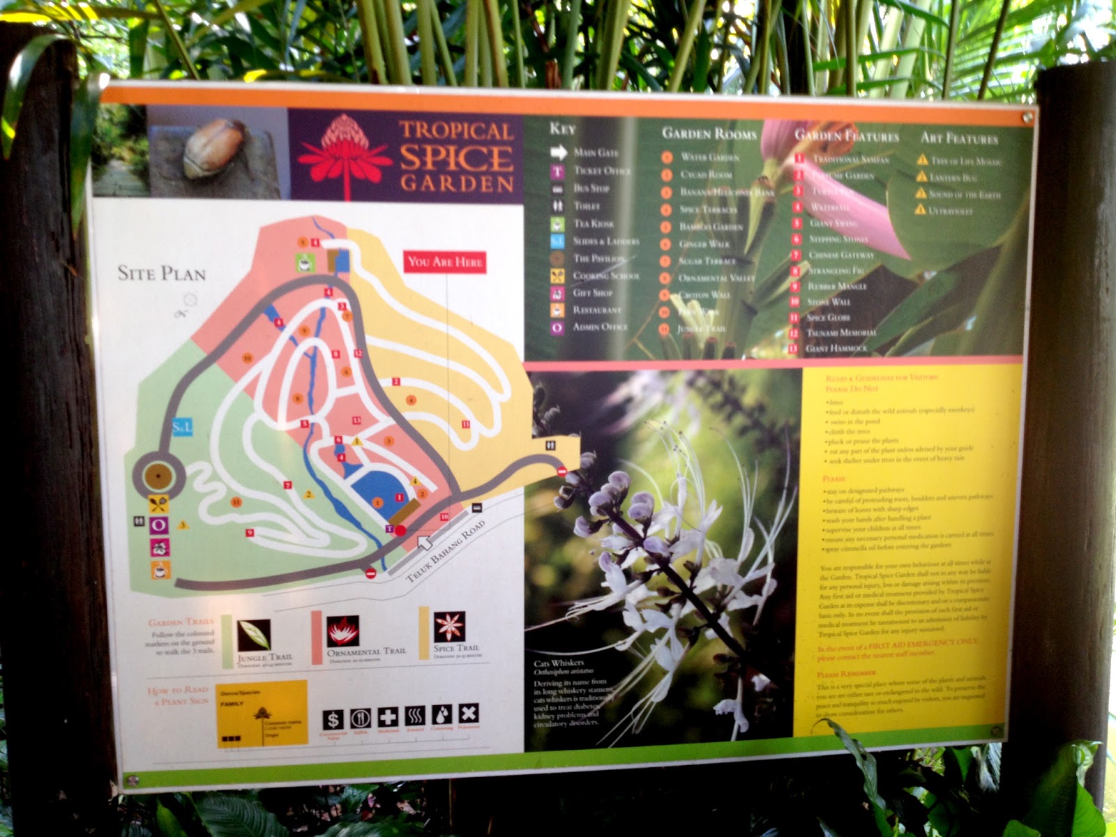 the fun things we do: Parks: Tropical Spice Garden, Penang
