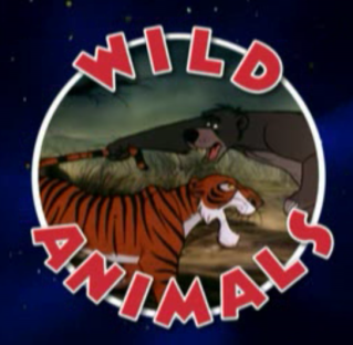 JABY school: ACTIVE SUMMER. ANIMALS