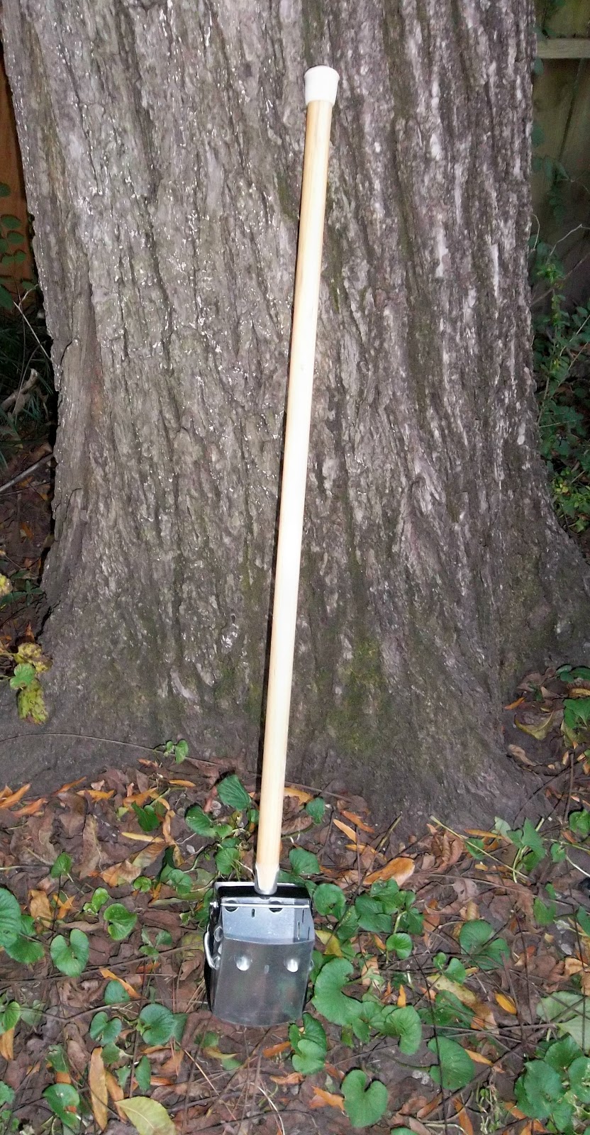 PRACTICAL PARSIMONY: Pecan Picker