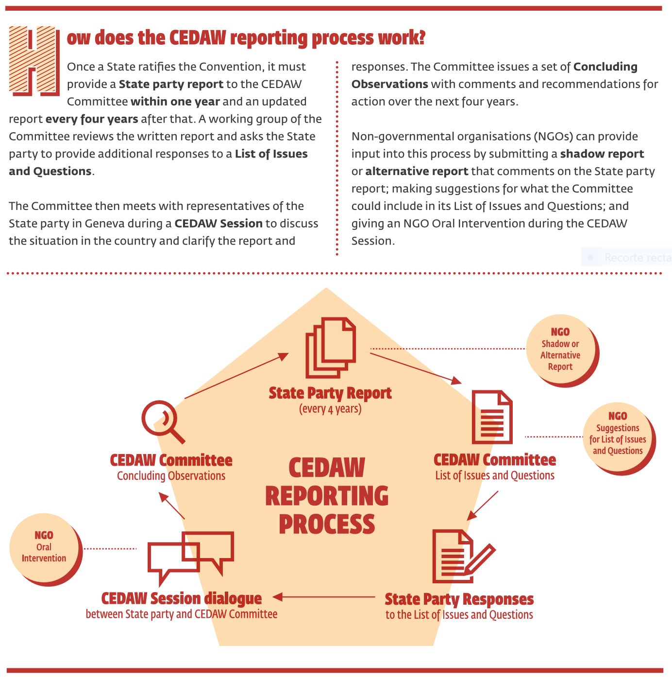 Equal rights for women worldwide: How does the CEDAW reporting process ...