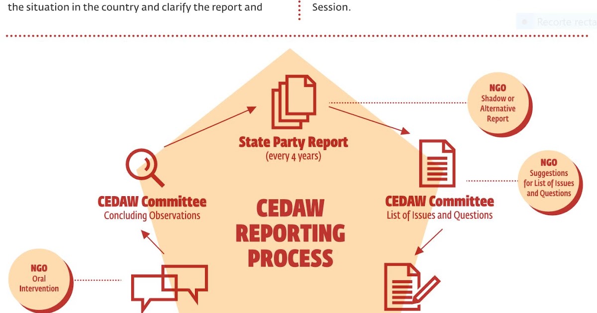 Equal rights for women worldwide: How does the CEDAW reporting process ...