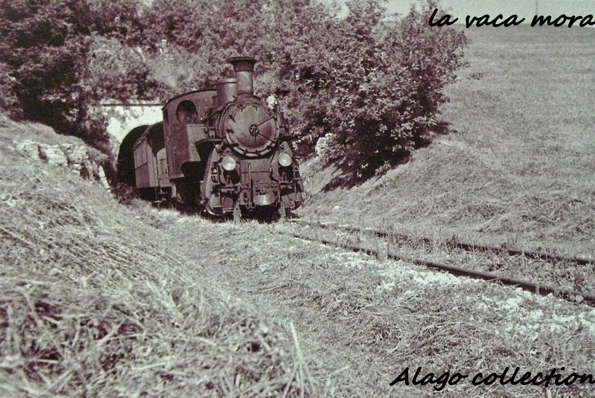 BRONSESCOVERTE: La vaca mora