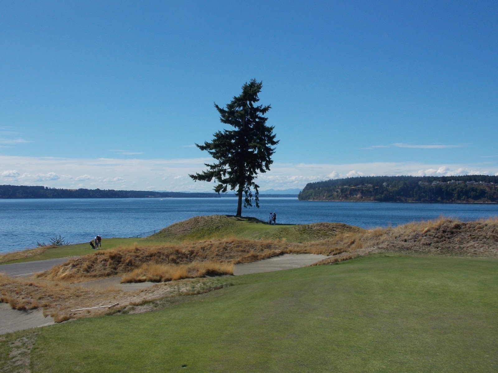 On Location: Chambers Bay - The Golf Travel Guru
