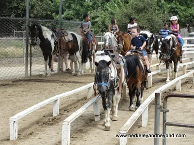 Travels With Carole: Los Angeles, California: Griffith Park; things to do