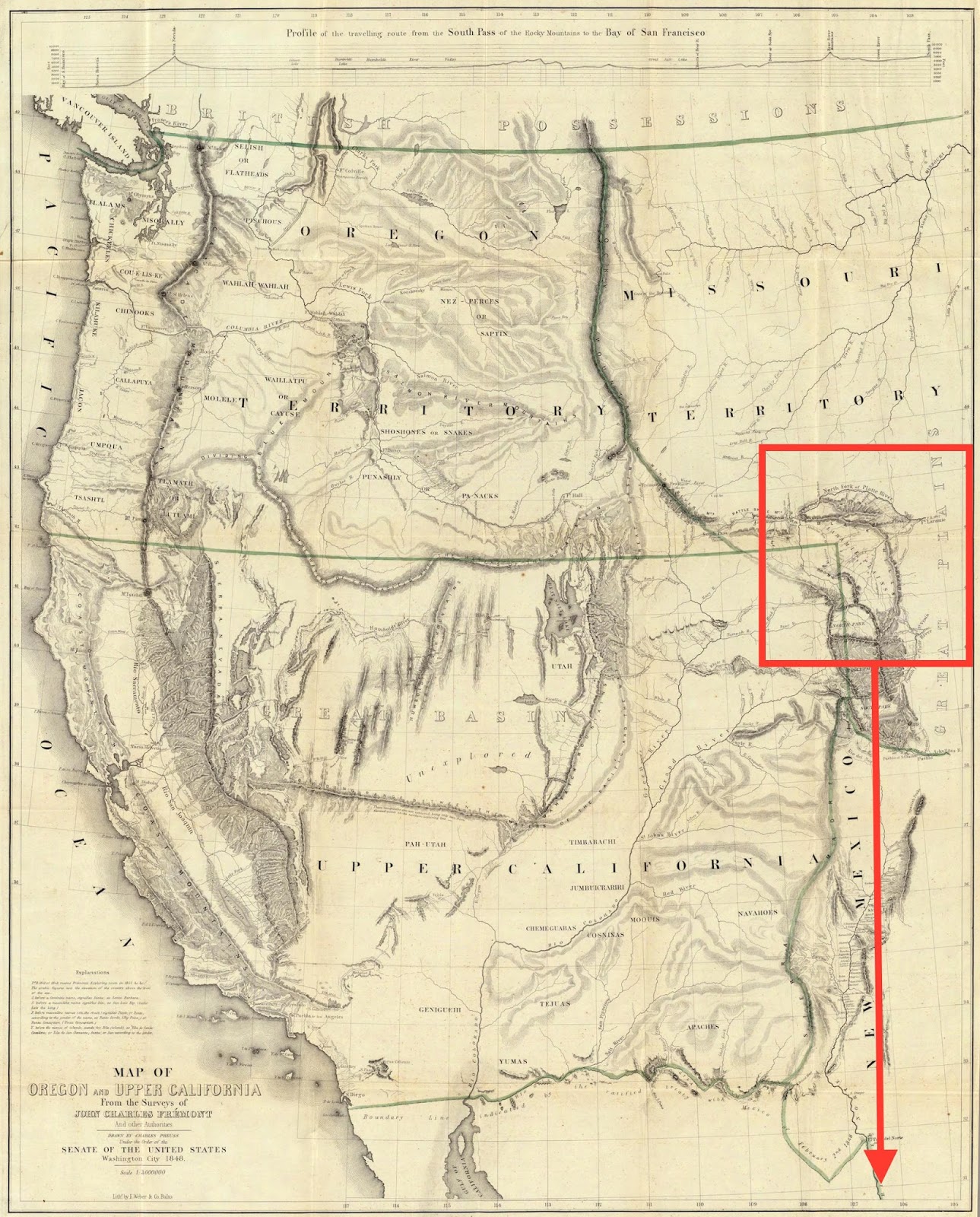 In the Company of Plants and Rocks: December 2015