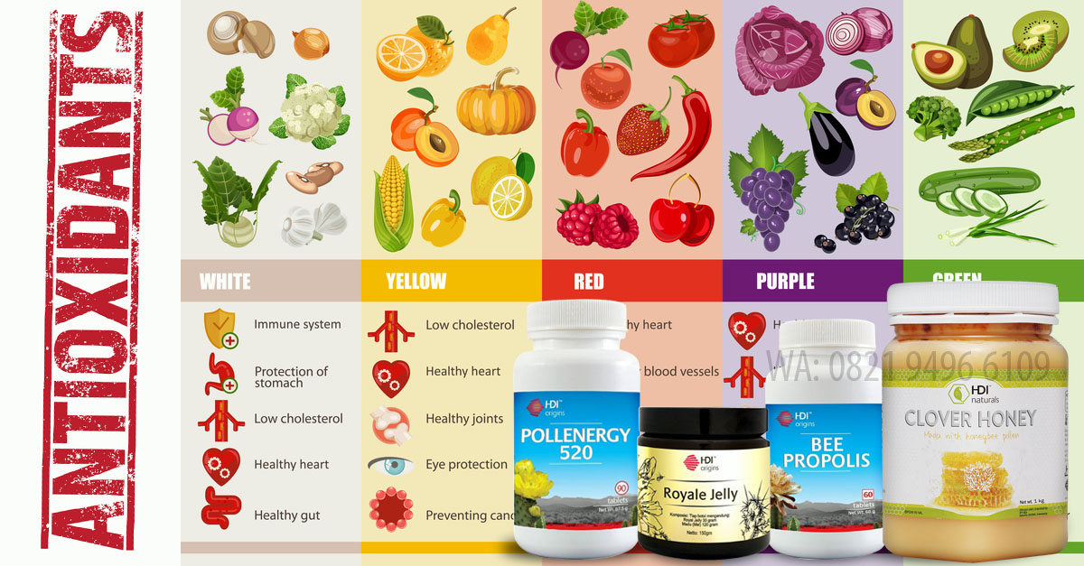 Manfaat Antioksidan Produk HDI | Madu Asli - High Desert