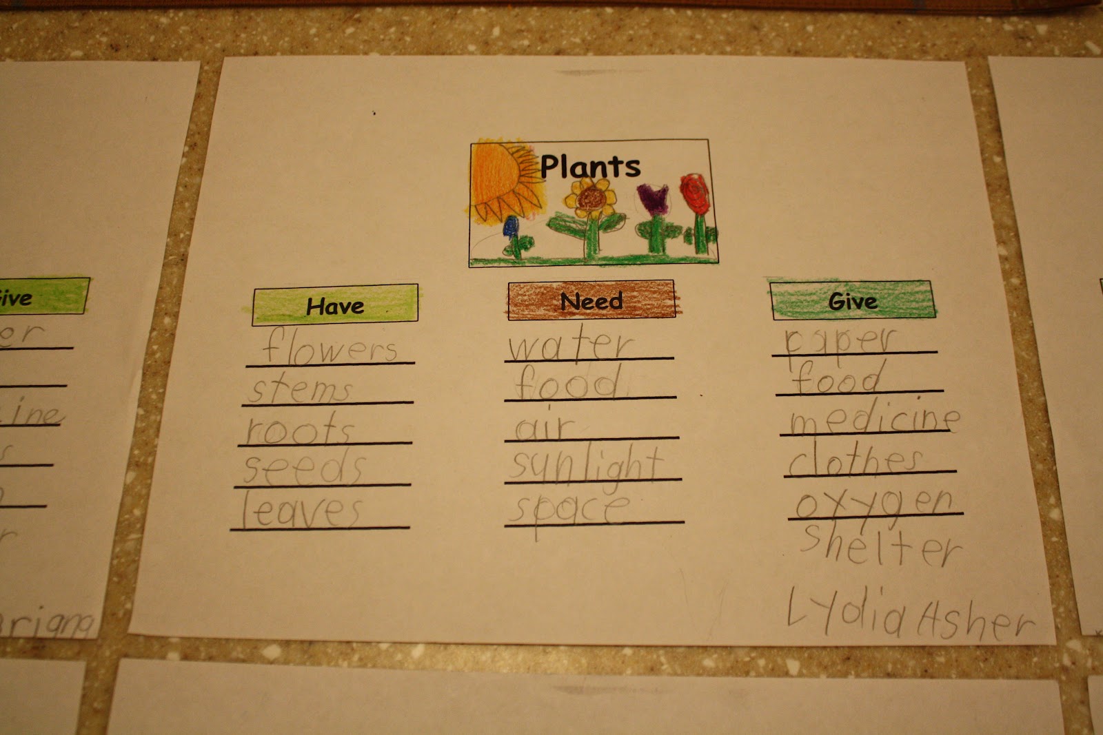 First Grade Days!: Away We Grow! Week 1