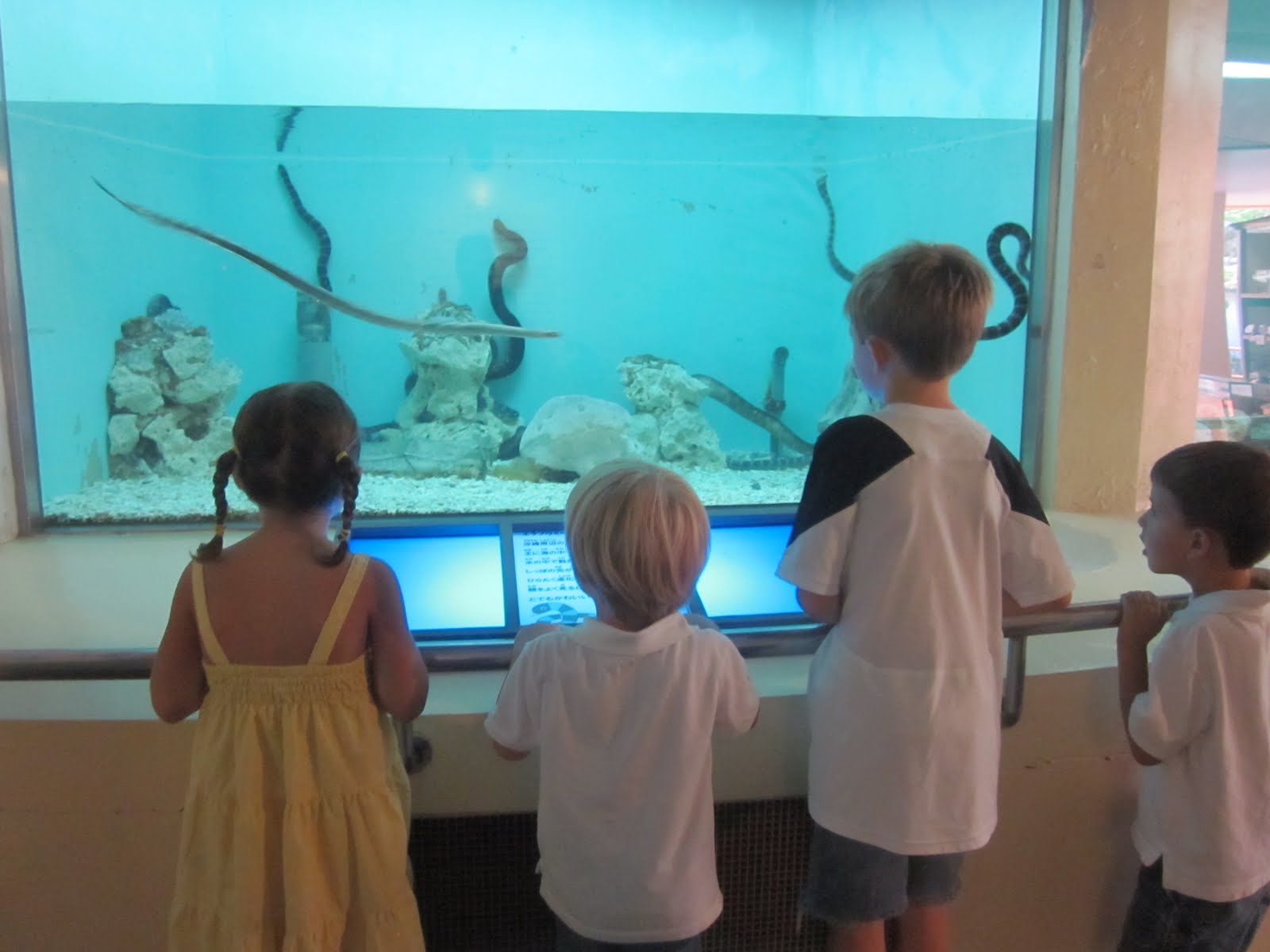Enjoying Life With 4 Kids: Okinawa World- Habu Snake Museum