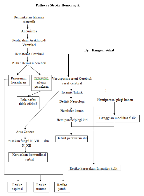 Laporan Pendahuluan Stroke Hemoragik, pdf dan doc