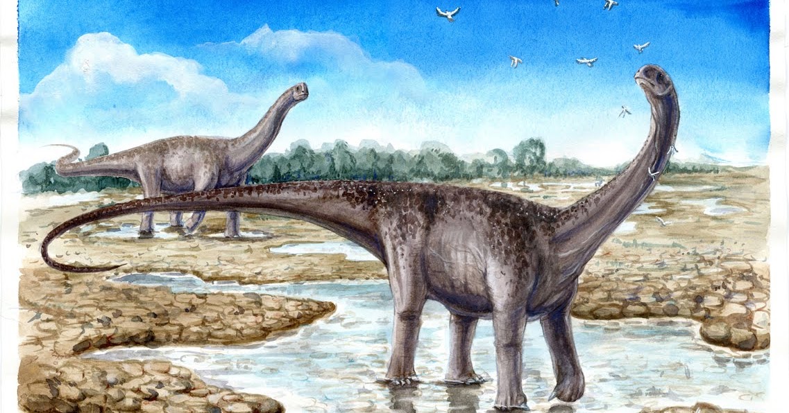 Maribel Monzón - Turiasaurus riodevensis - Ilustra paleontología