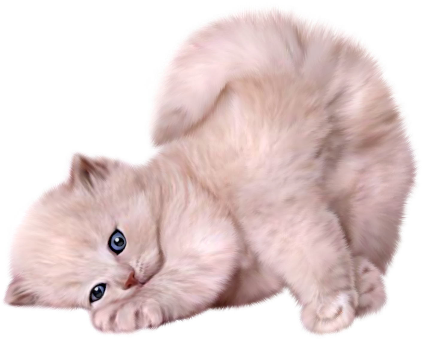 .Várias PNG'S.: Gatos Png
