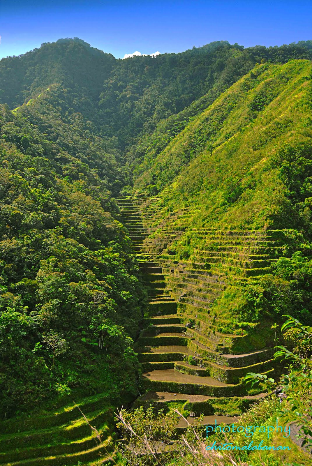 THE WORLD ACCORDING TO MY LENS: Th best of Banaue