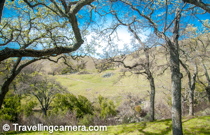 Hiking the trails of Sunol Regional Wilderness Park in San Francisco ...