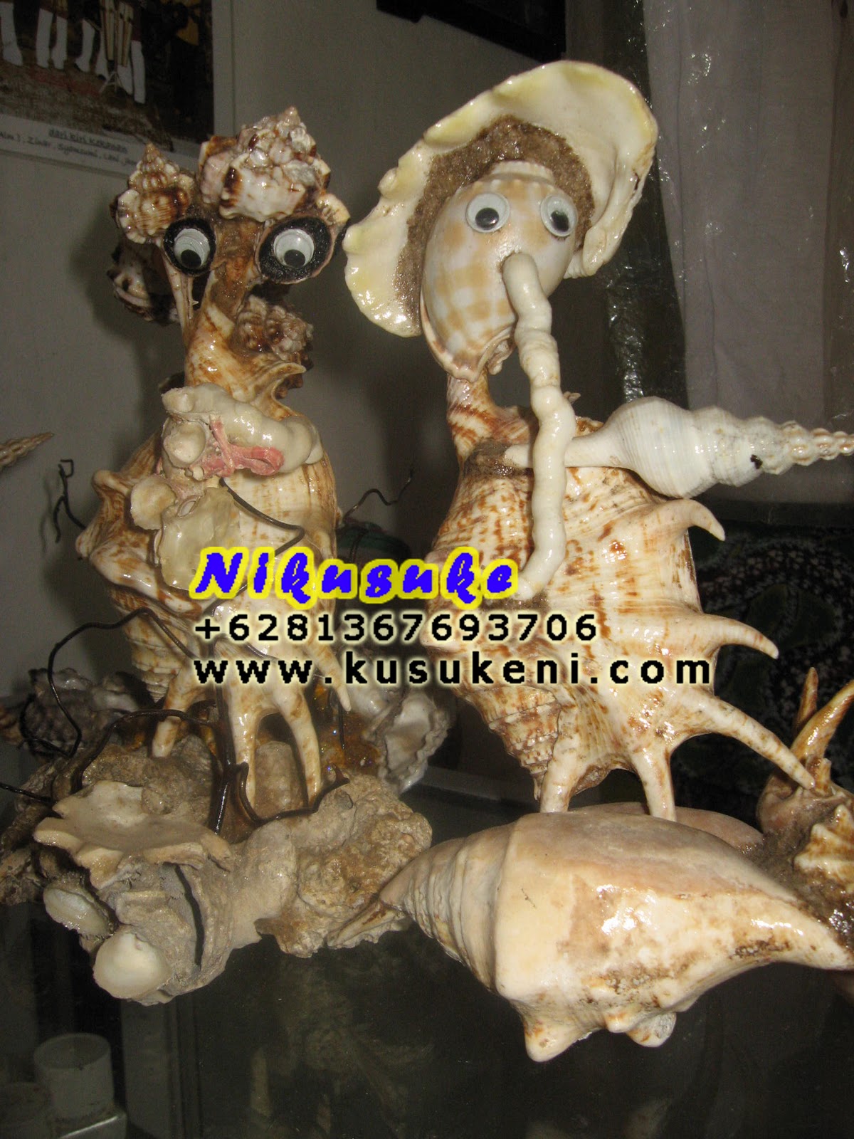 KREASI DARI KULIT KERANG: KREASI SIPUT DARI KERANG