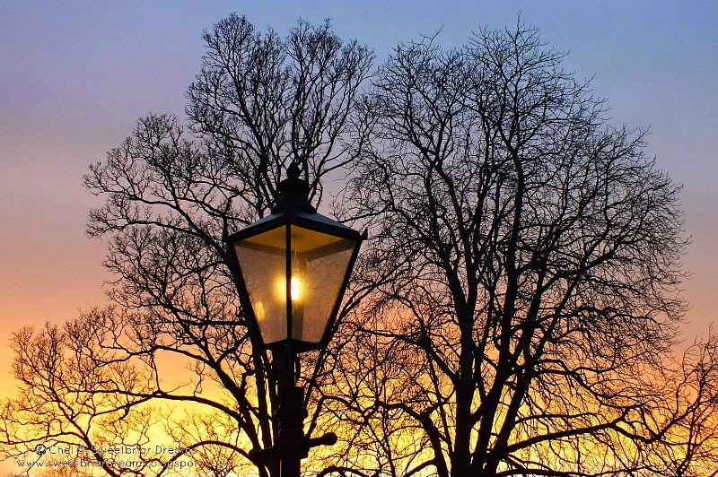 Sweetbriar Dreams: Spring Flowers and Chocolate! Perfect!!