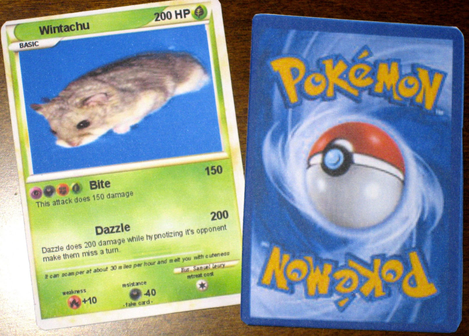 Keitha's Chaos: Homemade Pokemon Card