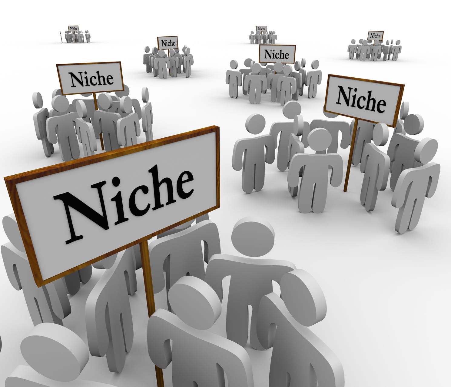 Niche là gì và các loại niche cùng ưu và nhược điểm