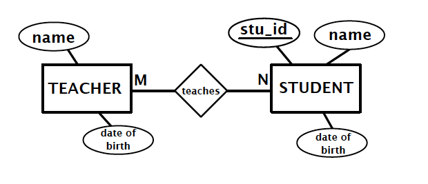 Database: Entity Relationship Diagram(ERD)