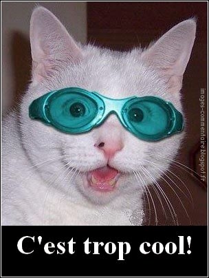 Photos et Images pour commentaire: C'est trop cool ! (Merci à Valent117)