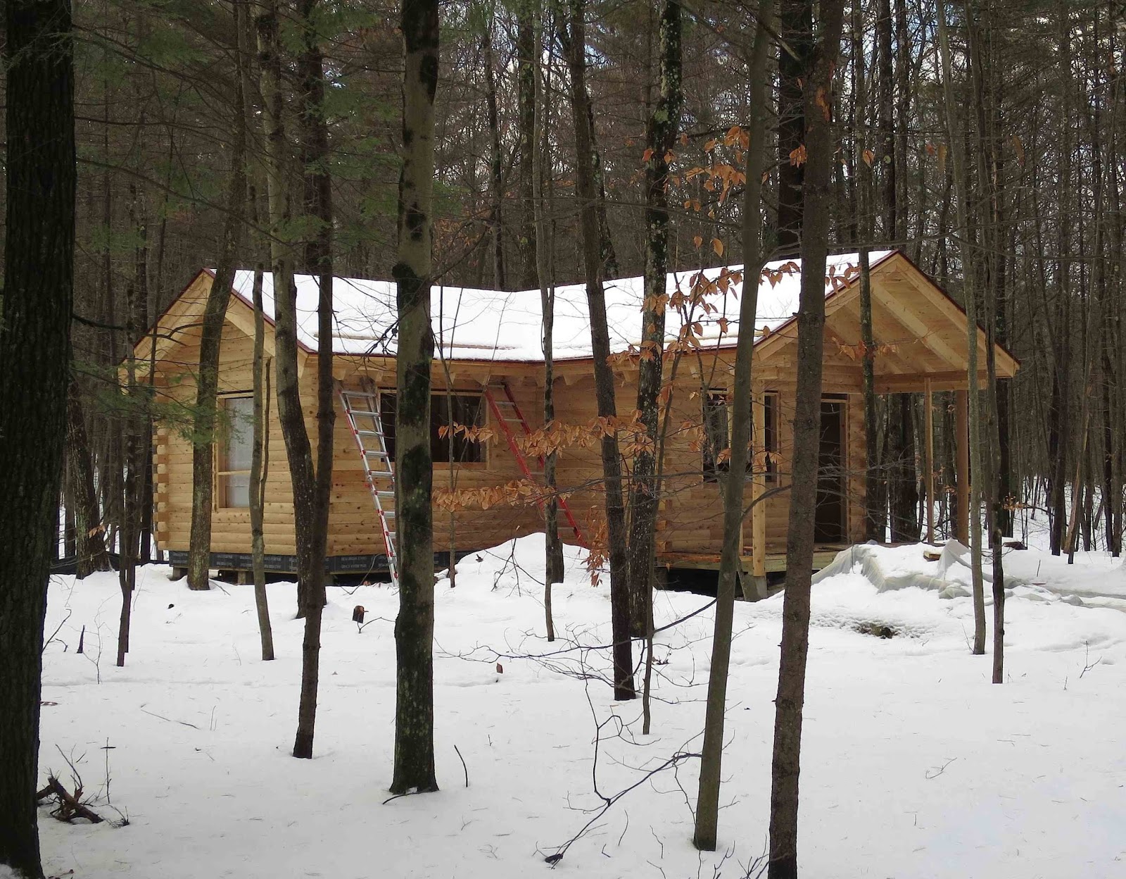 Saratoga woods and waterways: Little Houses in the Backwoods