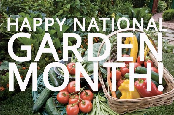 Creation and Compassion: Globe Willow and National Garden Month