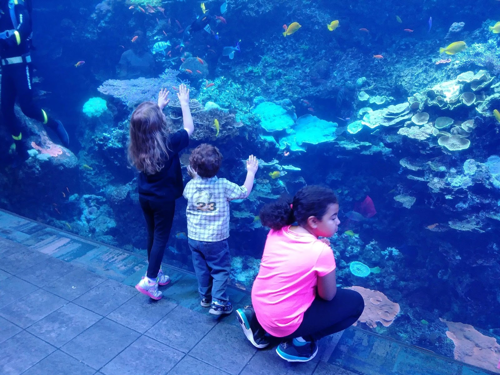 Kindergarten Week 32