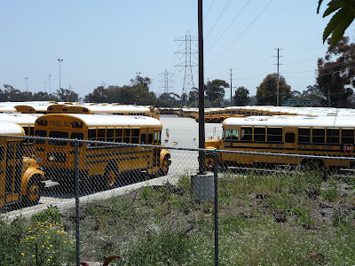 Observations: School Bus Lot