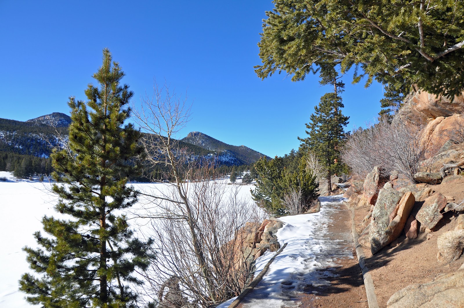 Mountain to Shore: A Winter Day at Lily Lake