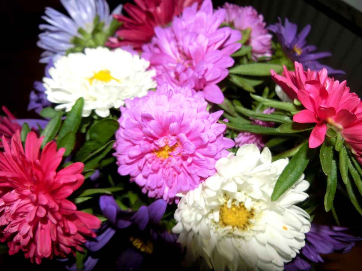 Femfemman: Mässor, massor, magneter mm