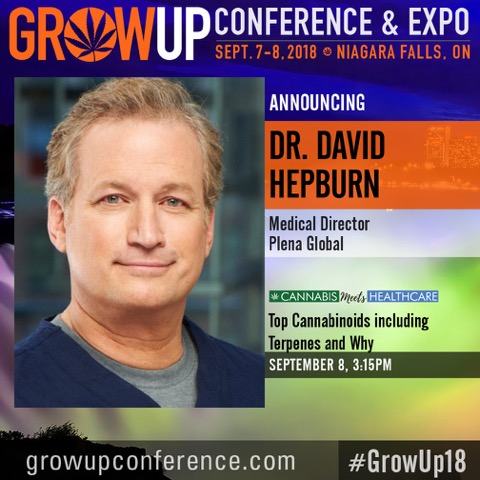 CANNABIS MEETS HEALTHCARE – Dr.David Hepburn