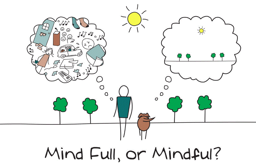 All About Living With Life: 15 Mindfulness Quotes to Inspire You to ...