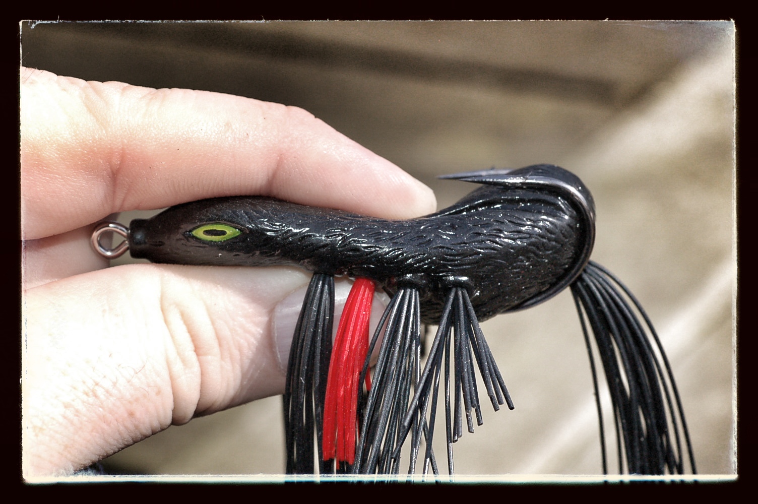 Bass Junkies Frog Pond: Flip in The Bird Top Water Bait Review