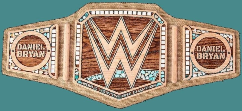Daniel Bryan Wwe Championship Belt
