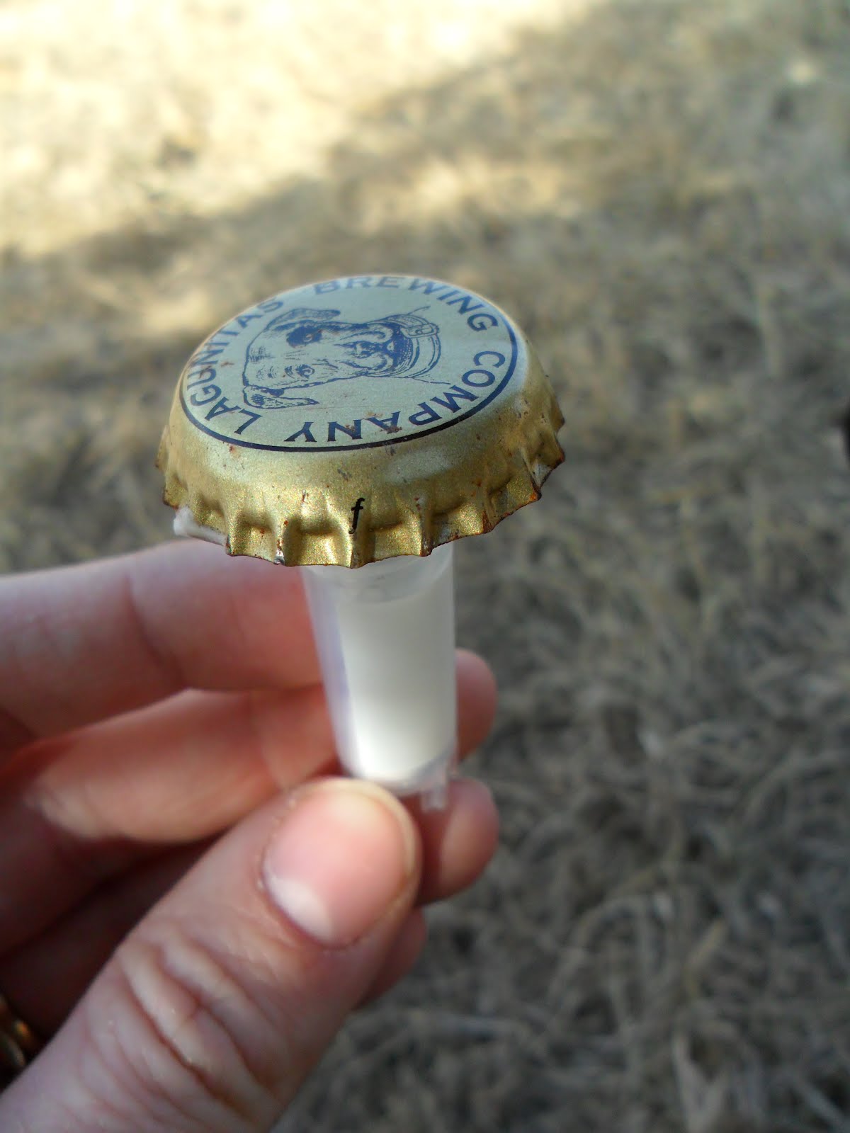 Kiddles 'N Bits: Recent Fun Geocaches