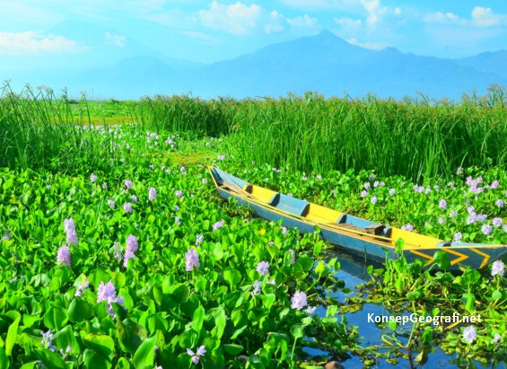 Macam-macam Perairan Darat - Konsep Geografi