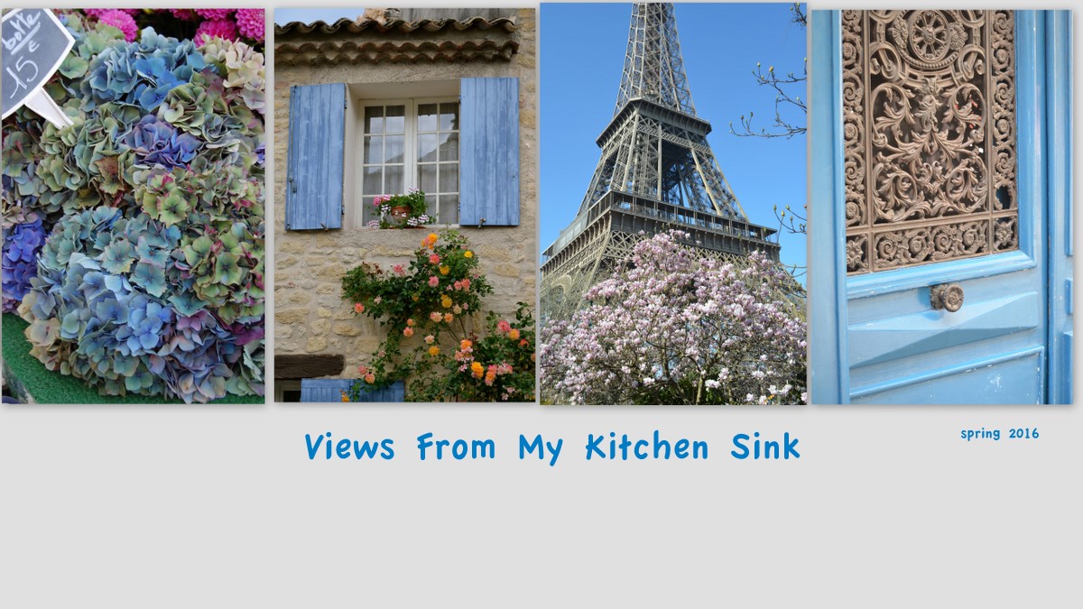 Views From My Kitchen Sink: Why not