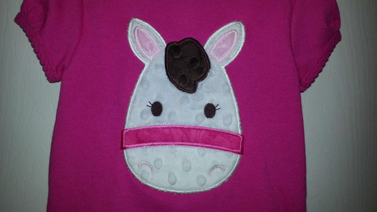 LeighBird Designs: Applique T-shirts for girls