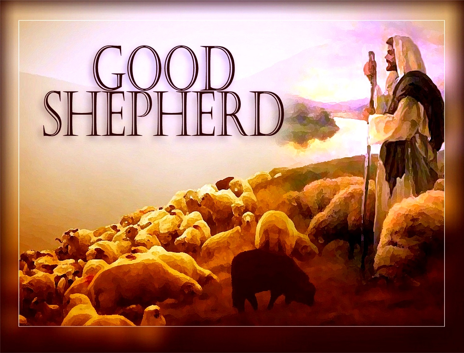 Fr Ed's Place: Words from Fr Ed (From April 29th Bulletin)