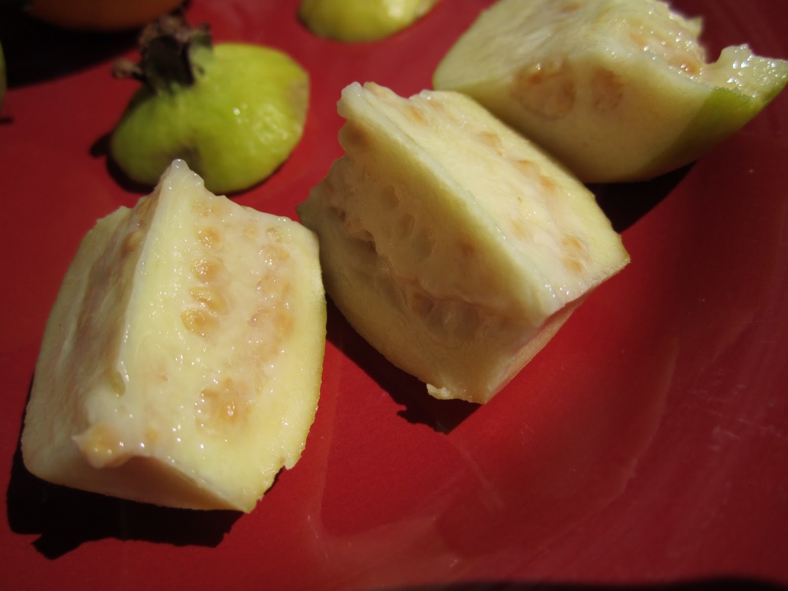 The Fruitectives: Guava (baby)