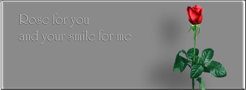 Facebook Cover Photos [Banner] | Free Download: Rose Facebook Covers