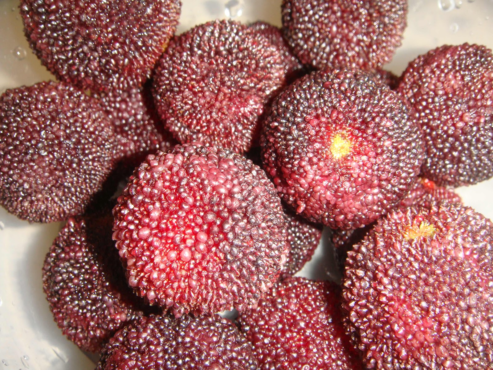 Supersupergirl's Food Reviews: Yangmei Berry