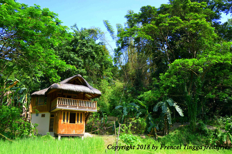 Frenz Fries: Lotus Valley Farm, San Juan La Union